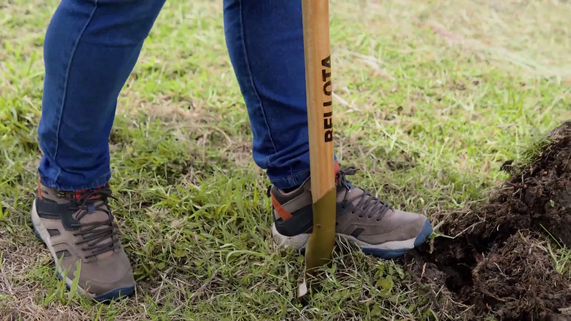 Cultivo de lechuga, aclareo y repicado para una cosecha exitosa
